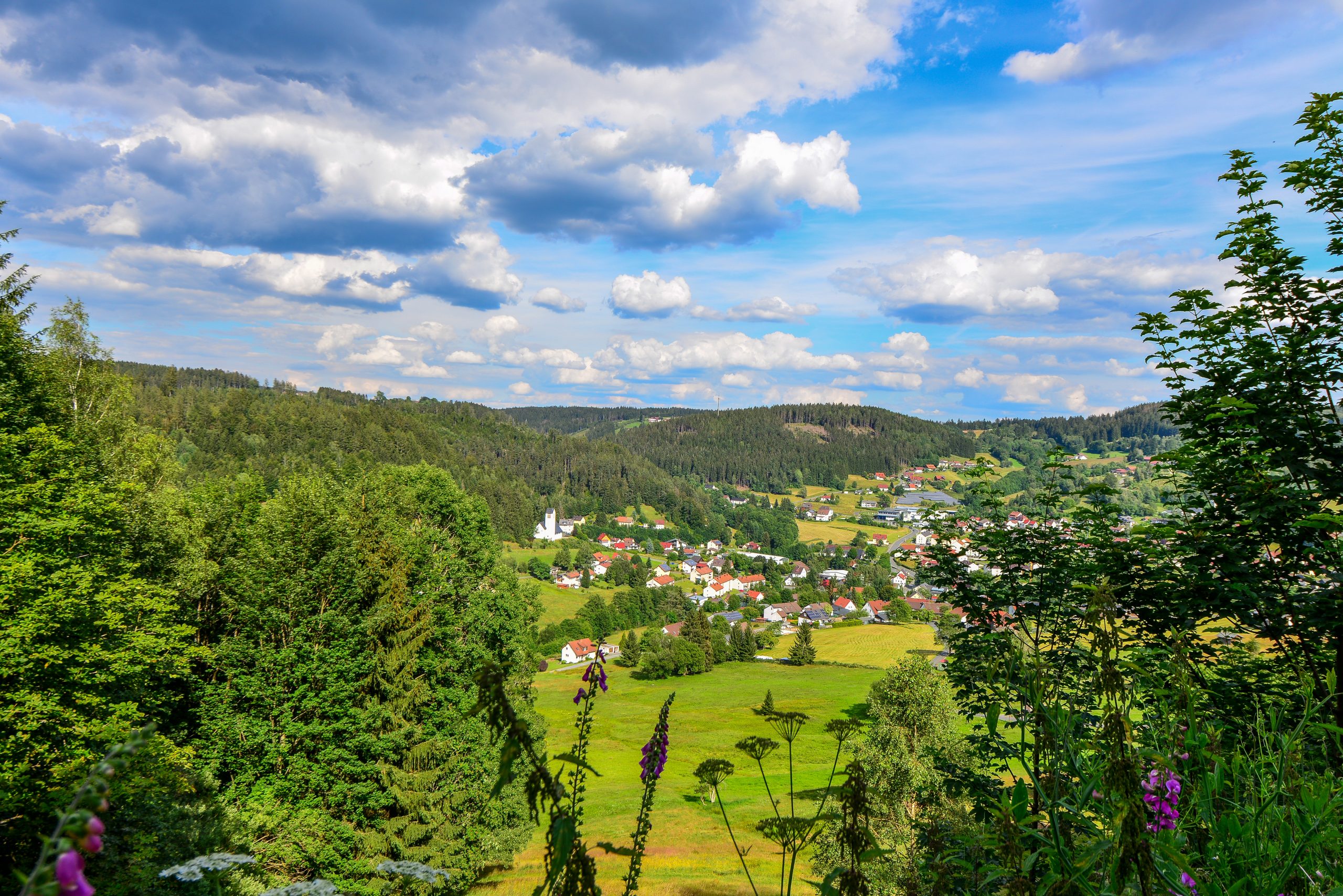 Suchen & Buchen – Warmensteinach im Fichtelgebirge